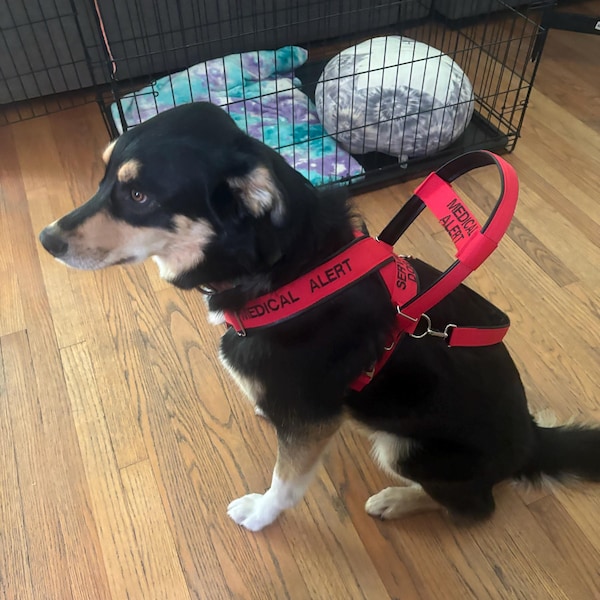 Cape Tab Custom Attaches to Dog Harness - Etsy