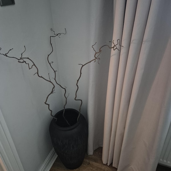 Long Twisted Hazel Branches, Corylus Twigs for Vase, Japandi Branches ...