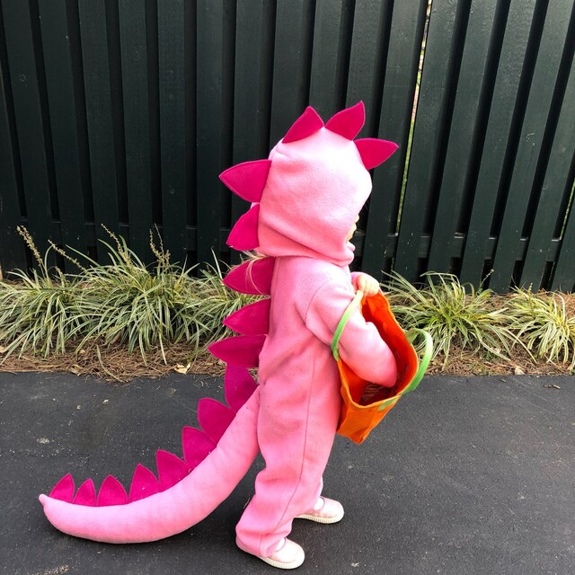 Girl dinosaur costume store