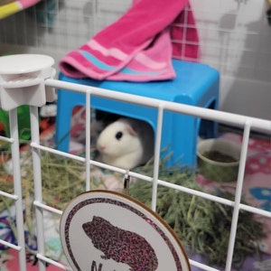 Rat Name Cage Decal for Rat Cage Custom Sign for Rat Cage Accessory for ...