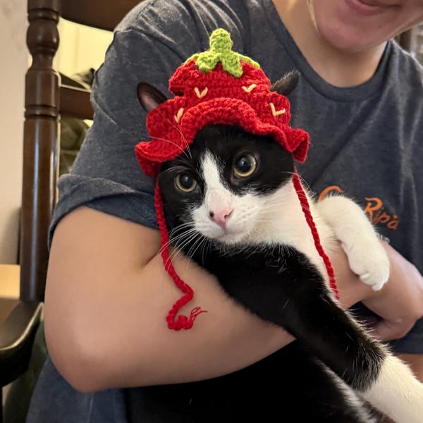 Cat Birthday Outfit | Crochet | Knitted | Letterbox Gift | Handmade ...