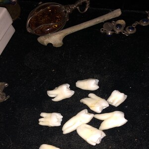 One Real Human Tooth Pendant Necklace - Etsy