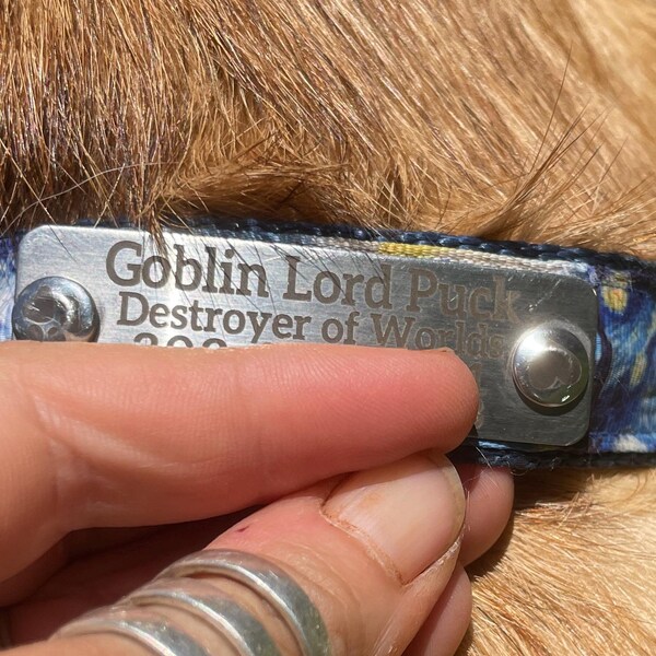 Collar Name Plate, Tiny Personalized Name Plate, 316 Stainless Rivet on ...