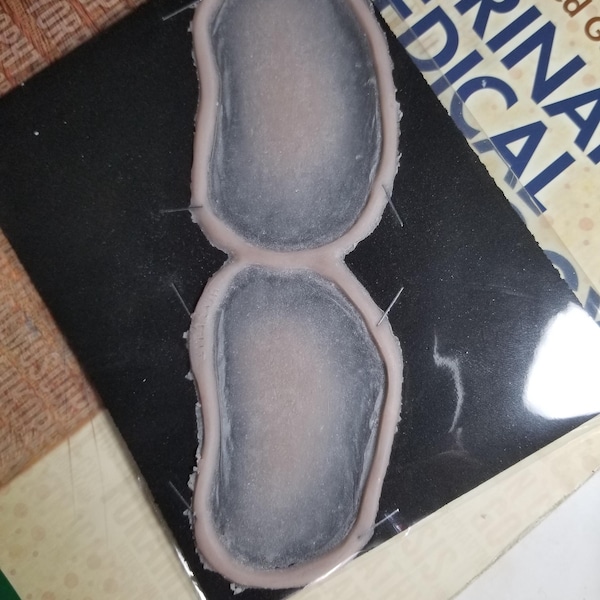 Spider Silicone Prosthetic | Under Skin | Subdermal | Scary | Halloween ...