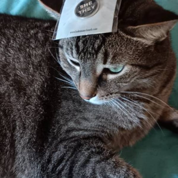 Maybe but Probably Not Gray Ace Demi Pride Enamel Pin in Demisexual ...