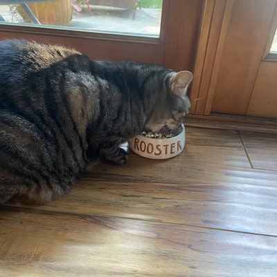 PREORDER: Customized Cat Bowl, White Ceramic Cat Food Bowl, White Bowl ...