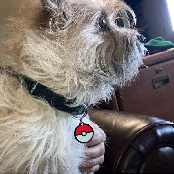 Super Mario Tag Super Mario Brothers Tag Dog Tag Pet ID Tag Super Mario ...