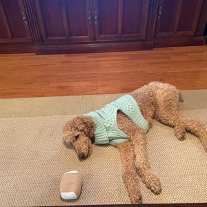 Squeaky Gavel Dog Toy | Etsy