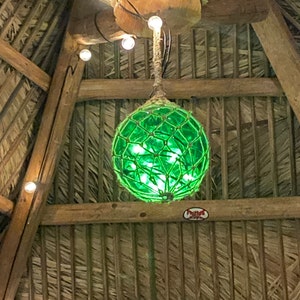 Cebu Beauty Snail Shells 1/23/4jewelry Seashell Supplies 20 Shells - Etsy