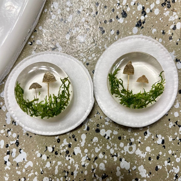 Natural Moss Mushroom Gauges, Real Plug, Mushroom Plug, Real Mushroom ...