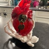 Realistic Heart-shaped Box 2 Styles Anatomical Heart - Etsy