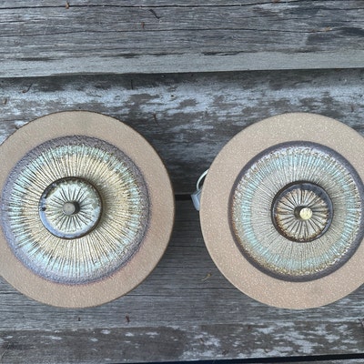 Antik SCHOOL CHART ILLUSTRATION, Double Sided, Goat/ Kid and Cow/calf ...