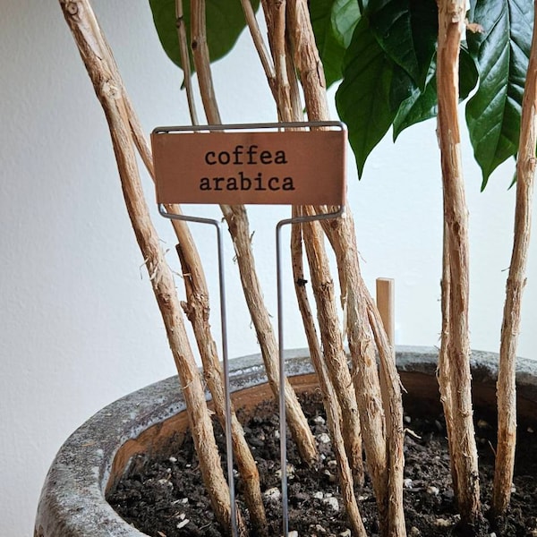 Hebrew Vowel Puzzle | Wooden Toys for Kids, Nekudot, Educational ...