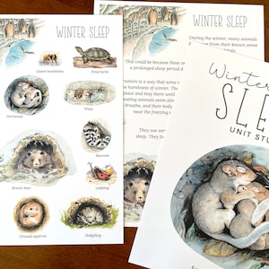 ANT Colony Unit Study, Life Cycle, Anatomy, Nature Study, Science ...