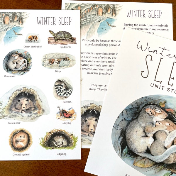 Flowers Mini Study Unit: Life Cycle & Anatomy (instant Download) - Etsy