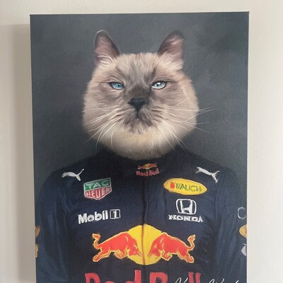 Red Ball, Formula Racing Car, F1 Driver Team Pet Portrait, Custom Dog ...