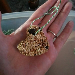 50 Bird Seed Heart Shaped Favor MINI Wedding and Events Personalized ...