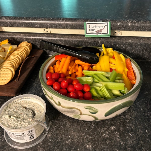 Printable Dinosaur Food Label Signs for Dinosaur Birthday Party - Etsy