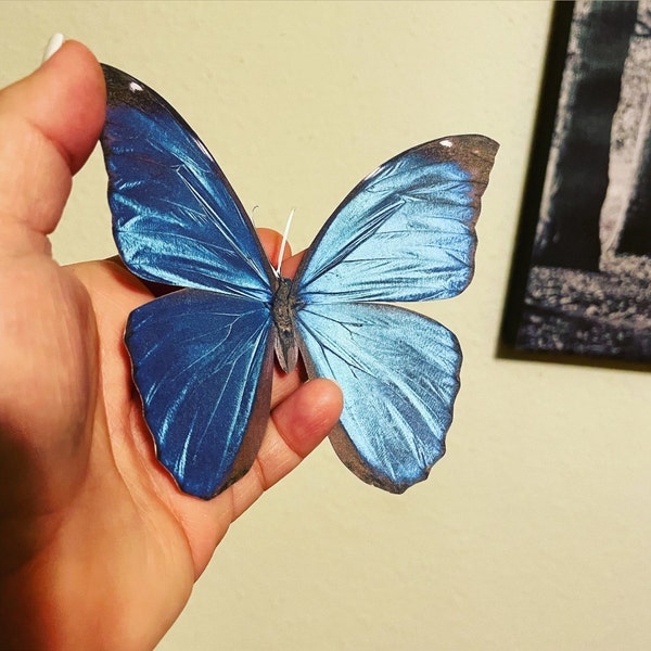 Blue Paper Butterfly Decor - Etsy