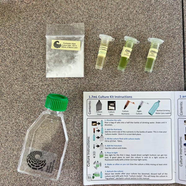Algae Growing Kit. - Etsy
