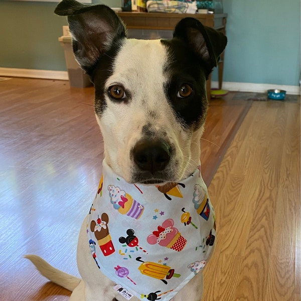 Taylor Swift Car Coaster, Taylor Swift Gift Ideas, Car Coaster , Dog ...