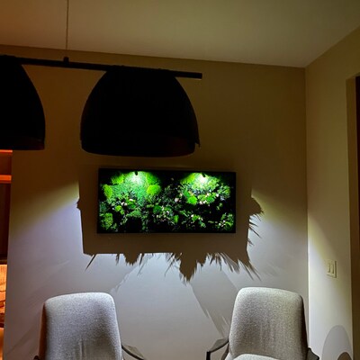 Beautiful Preserved Moss Artwork With LED Lights Live Moss LED Wall Art ...