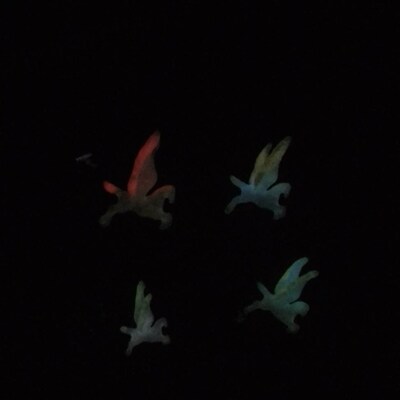 Aqua Glow in the Dark Neon Pigment Powder - Etsy