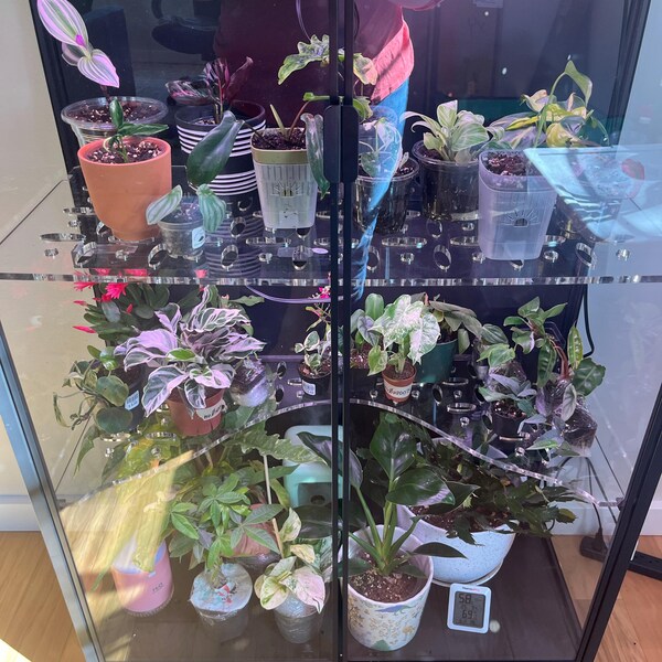 Milsbo Tall Set of 3 Sizes; Shelves for IKEA Indoor Greenhouse Cabinet ...