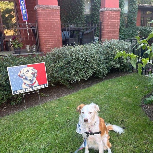 Dogs for Kamala Yard Sign, Dog Moms for Harris Sign, Dog Dads for ...
