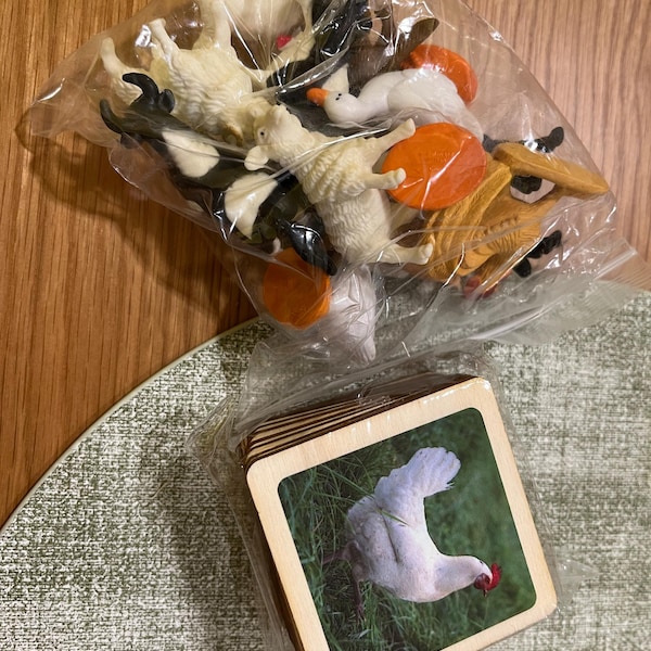 Montessori and Waldorf Learning Sea Life Animals Sustainable Match Toys ...