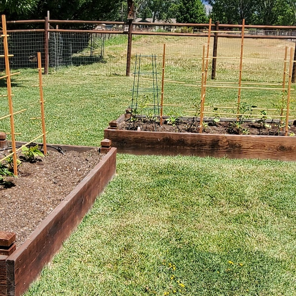 Plant Play Ground - Hardwood Trellis, for Active Plants - Etsy