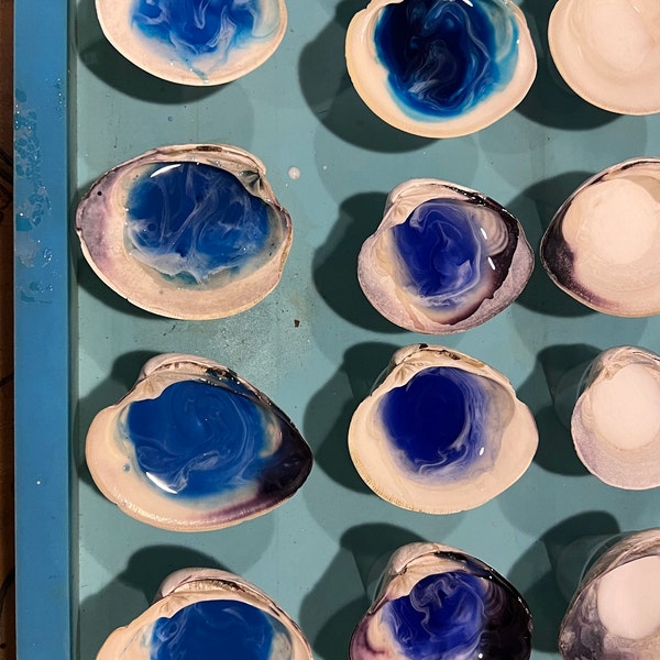 25 Oyster Shells | New York Oyster Shells | Ocean Tumbled | Surf ...