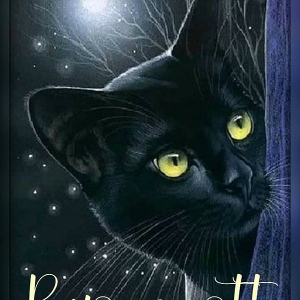 Magbound® Basic Time Lock for Selfbondage - Etsy