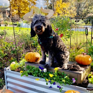 Bull Horns Headband Birthday Party Favors Halloween Costume Child Baby ...