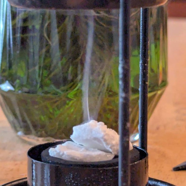 Raiz seca de RHODIOLA, 50g 100g 1,76oz 3,53oz, Raiz ártica, Raiz ...