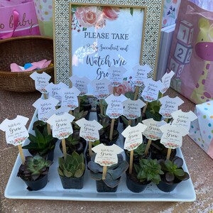 Editable Sign for Succulent Favors Greenery Editable Sign | Etsy