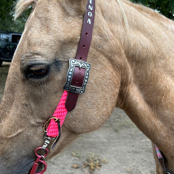 Tie Down Keeper/ Saddle Tassel - Etsy