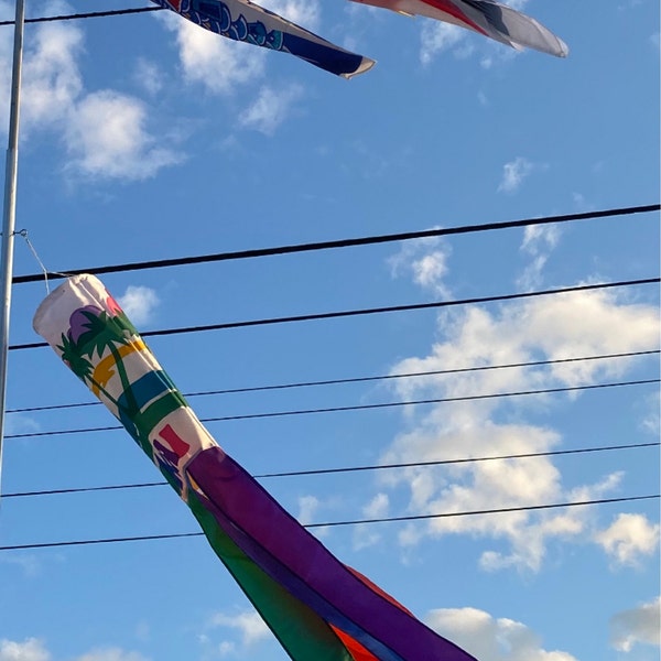 Koi Fish Windsock - 100% Loacally Made on Molokai by Big Wind Kite ...
