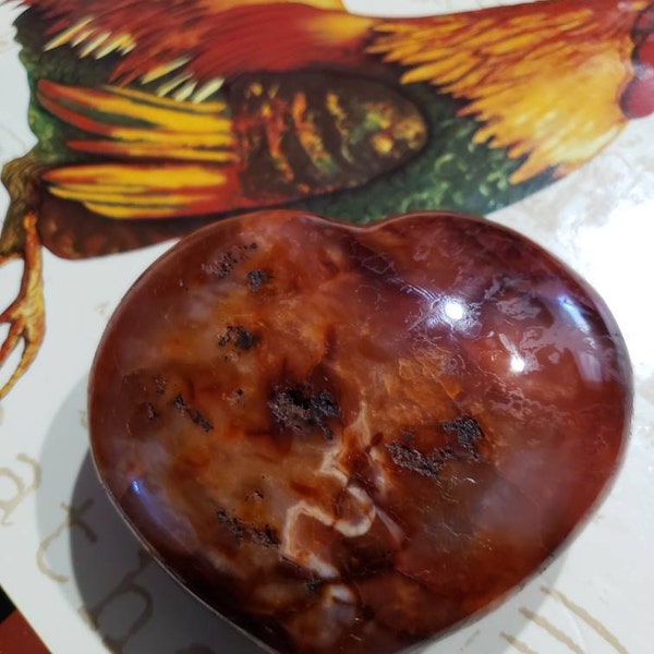 Bone Jewelry, Bone Ear Weights, Vertebrae, Vertebra, Gothic, Ear ...