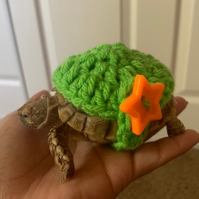 Tortoise Sweaters, Pet Costume, Turtle Sweater, Cute Animals, Tortoise ...