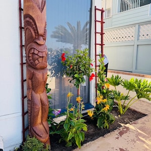 Hula Noho the Seated Hula - Hula Dancer Hawaiian Tradition - Kim Taylor ...