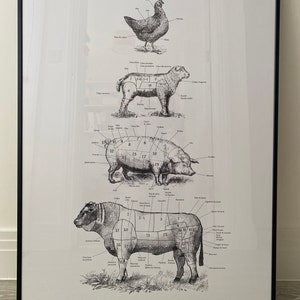 IRISH Beef Cut Print Butcher Chart Poster Etching Style - Etsy