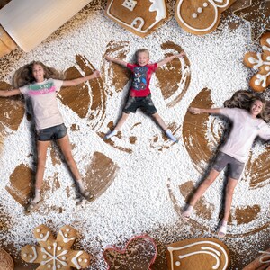 25 Pine Tree Branch Overlays, Christmas Tree Shoot Throughs - Etsy