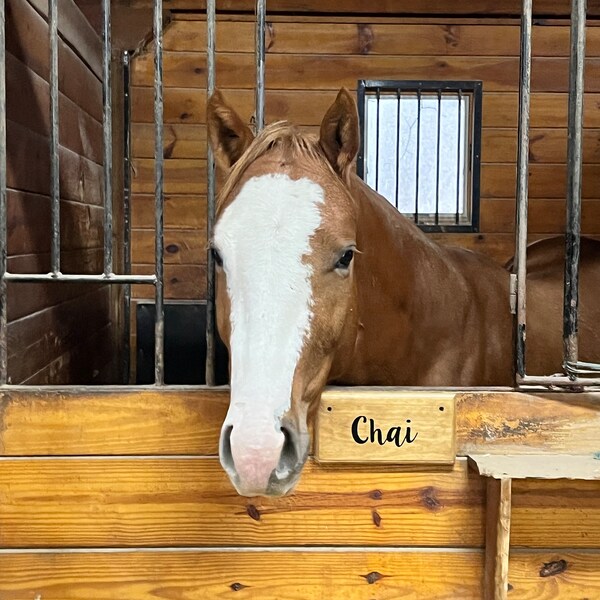 Horse Stall Sign, Stable Name Plate, Barn Name Sign, Horse Stall Name ...