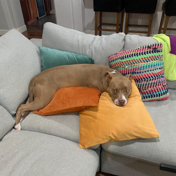 Bri Bri Set Scalloped Edge Decorative Throw Pillow Covers 2-pack, Green ...