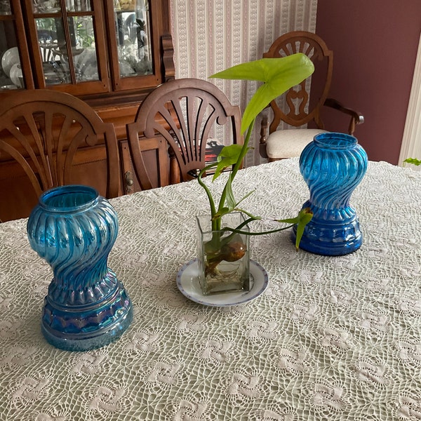 Wolf Bean, Lupine, Lupini Bean Packet; Flower & Vegetable - Etsy