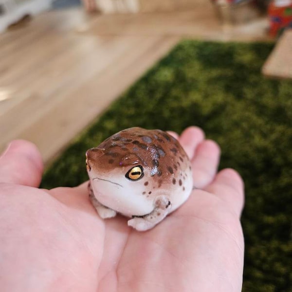 SQUISHY Desert Rain Frog. Cute Butt Frog Fidget Weirdcore Desk Toy for Stress Relief - Etsy