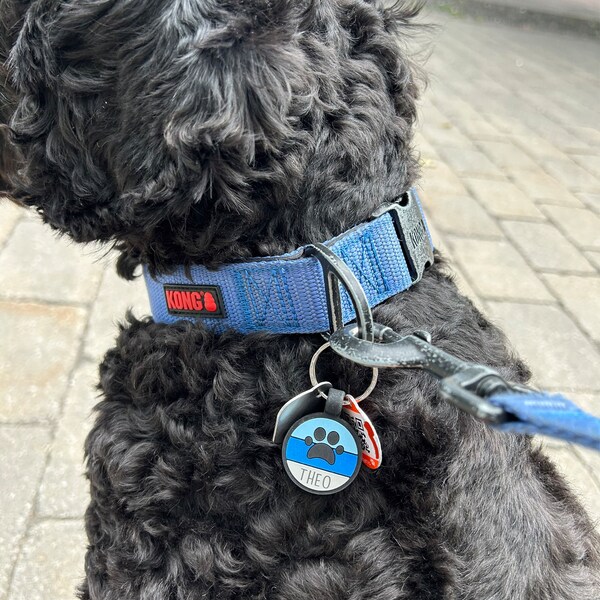 Orange Paw Custom Pet ID Tag Silicone, Laser Engraved Dog Tag, Custom ...