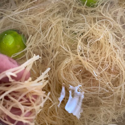 Stinking Toe Powder Hymenaea Courbaril No GMO 100% Organic Air Dried ...