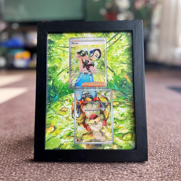 Silvers Rayleigh Manga Custom One Piece Display Case - Etsy